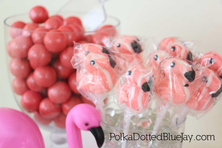 Flamingo Valentine's Day Party - Polka Dotted Blue Jay